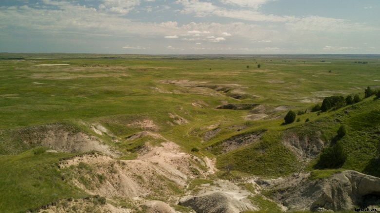 Best practices for grazing government ground